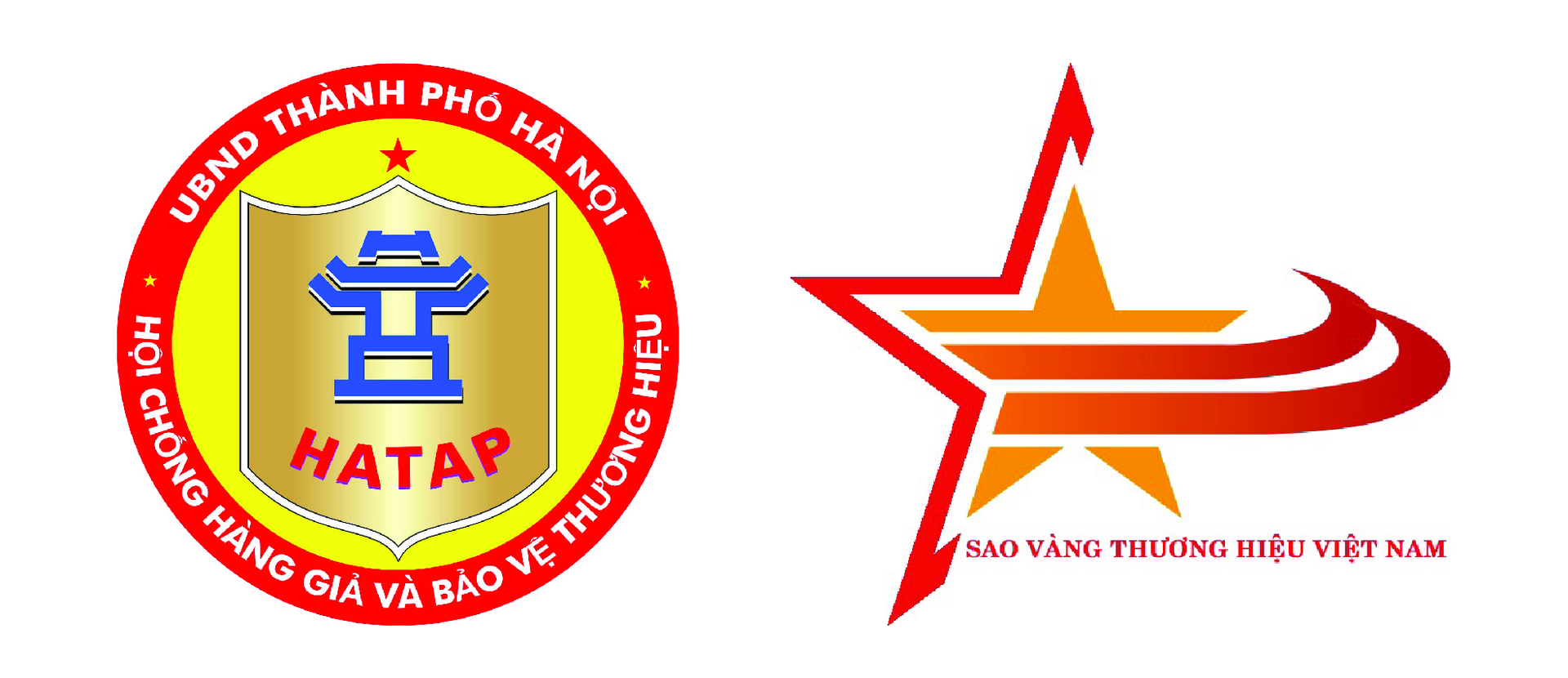 Giới thiệu - Mita-Group